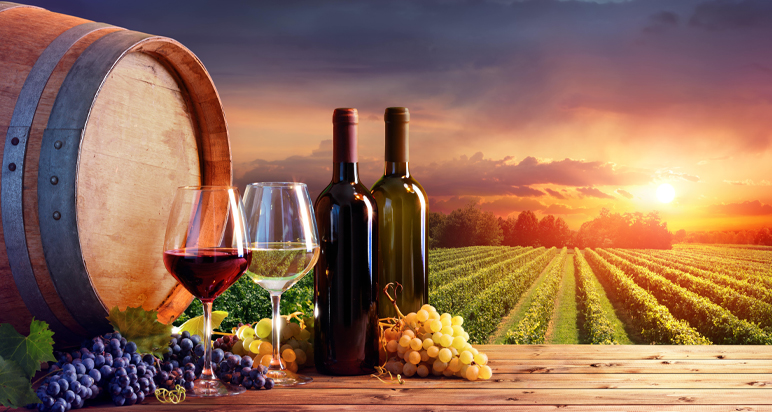 Vinho: conheça os tipos de uva e os segredos da harmonização | Blog ...